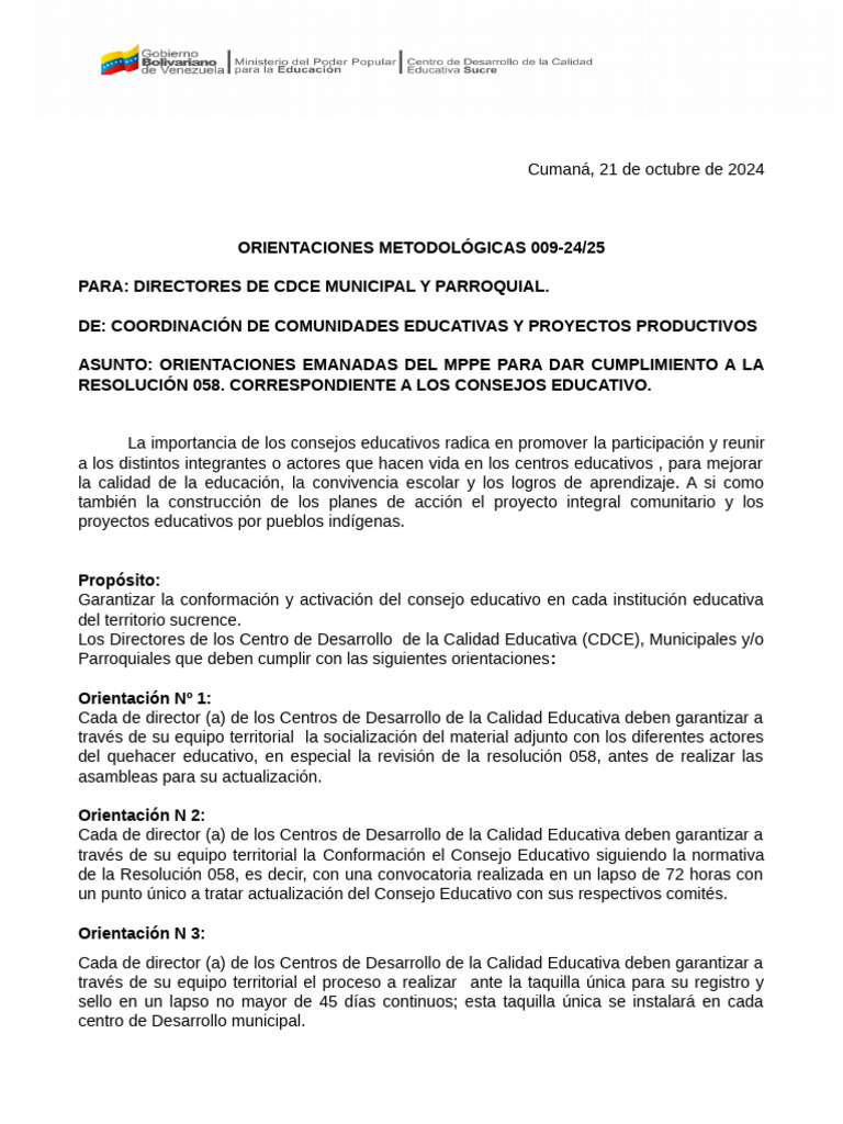 Orientaciones 009 Consejos Educativos 2024-2025 | PDF
