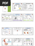 Contrôle SVT 3AC Semestre 2 | PDF | Nerf | Muscle squelettique