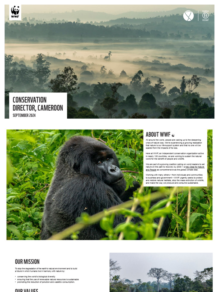 WWF - Conservation Director Cameroon | PDF | Conservation Biology | Sustainability