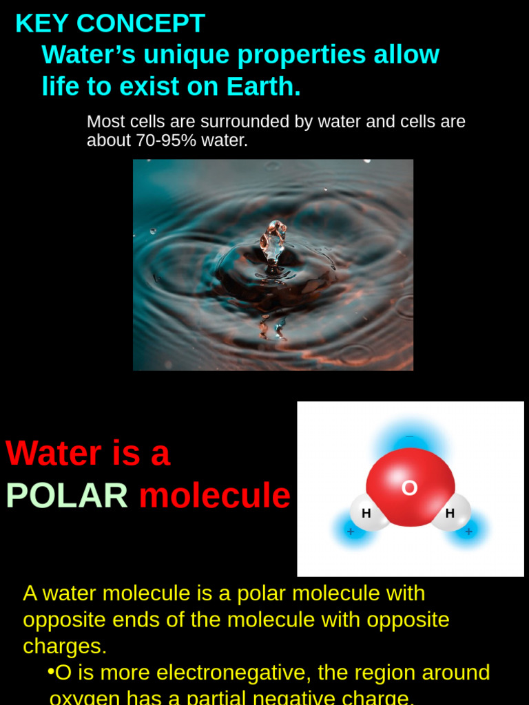 4.b. Handout Water Properties | PDF | Water | Properties Of Water