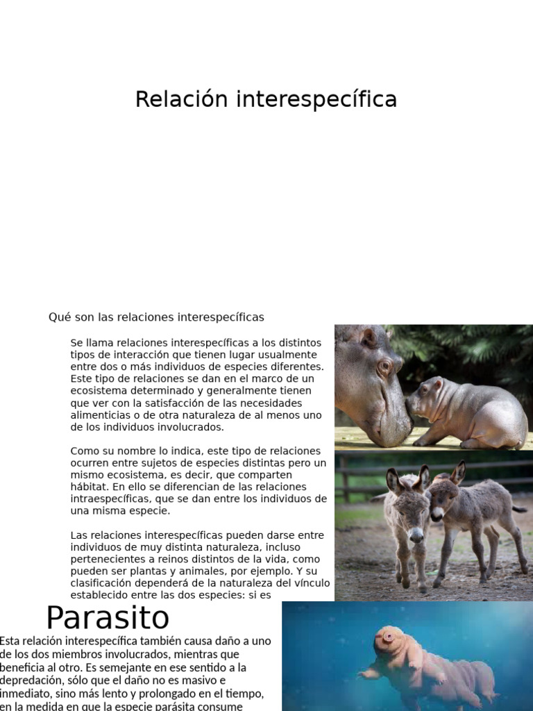 Relaciones Interespecíficas en Ecosistemas | PDF | Depredación ...