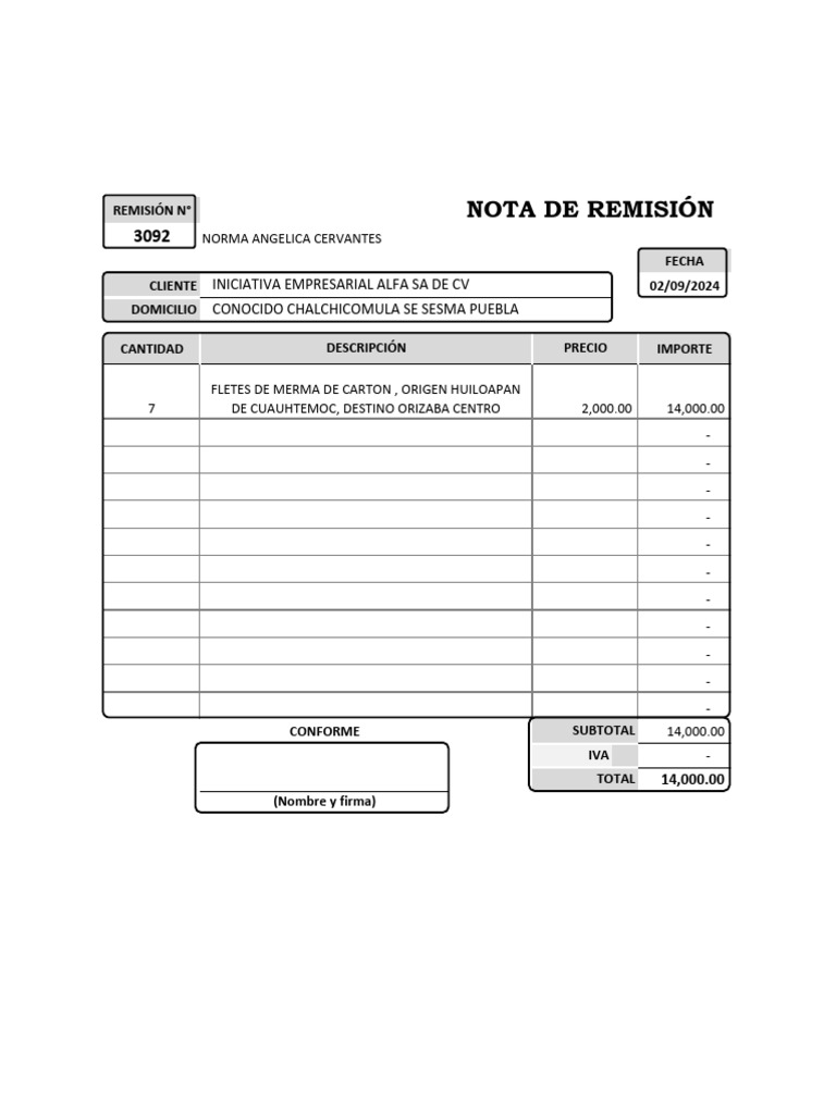 Ejemplo Remision | PDF