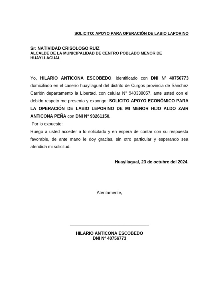 Solicitud dirigida al alcalde.docx | PDF