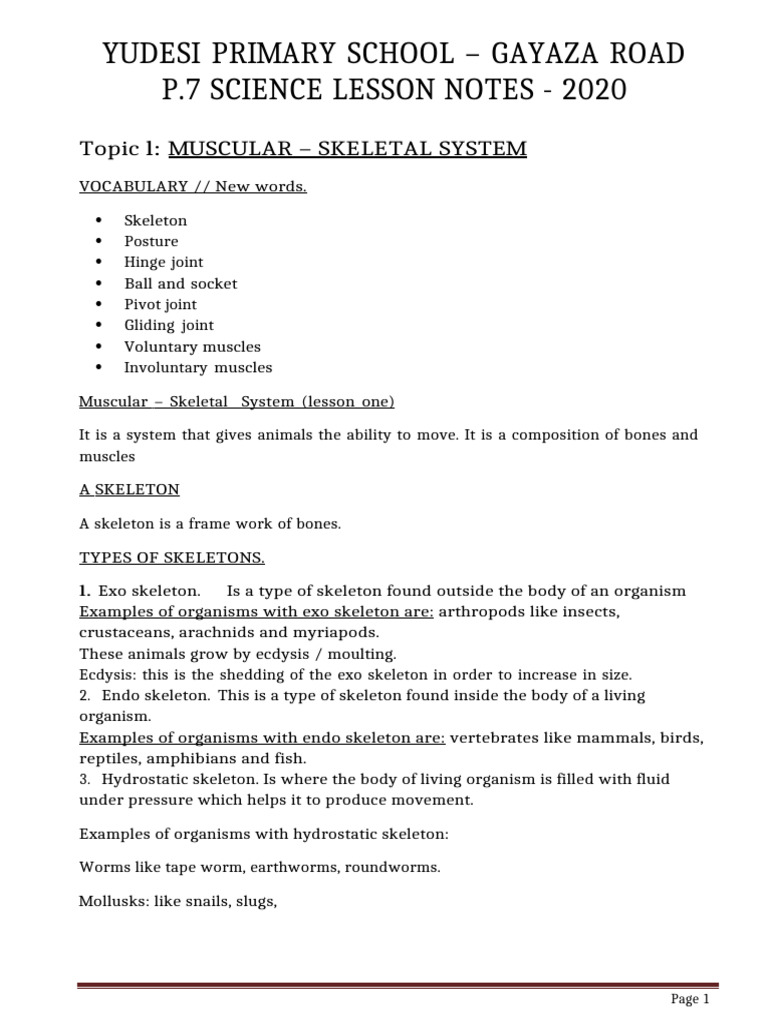 Muscular-Skeletal System Notes 2020 | PDF | Skeleton | Muscle