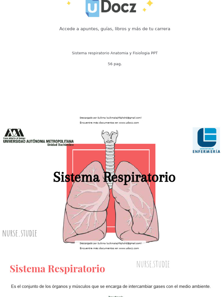 Sistema Respiratorio 55366 Downloadable 7247277 | PDF | Laringe | Pulmón