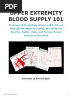 Torbay Cuff Protocol | PDF | Anatomical Terms Of Motion | Shoulder