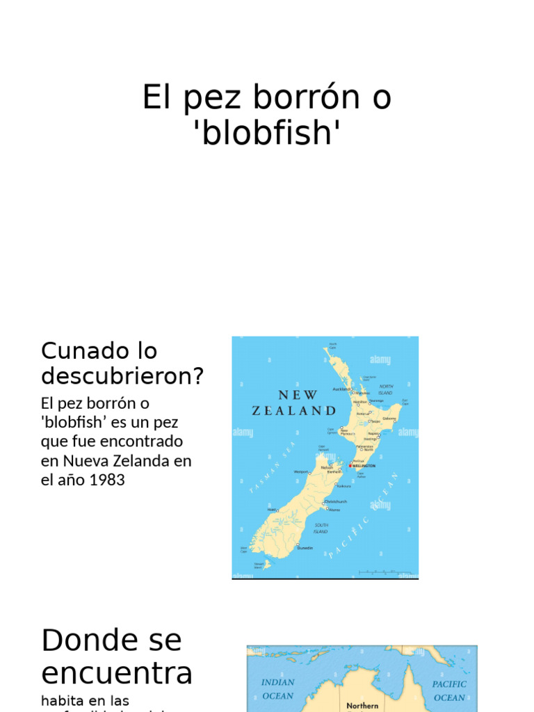El Pez Borrón o 'Blobfish' | PDF