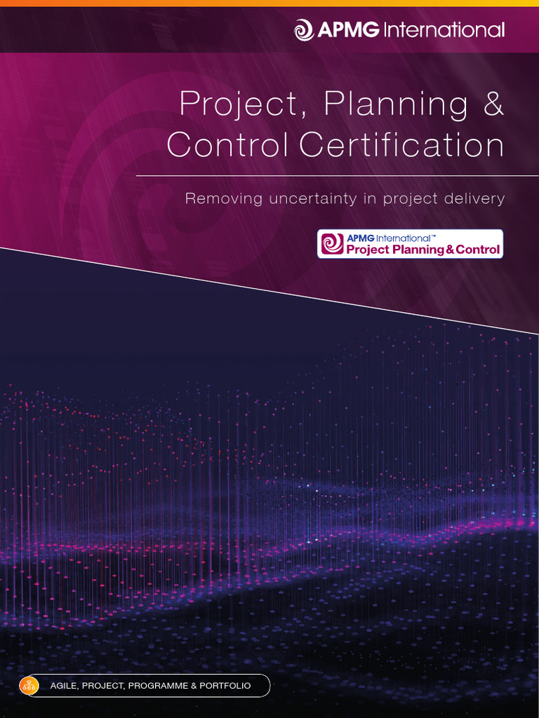 project_planning_control_leaflet_web | PDF | Project Management | Business