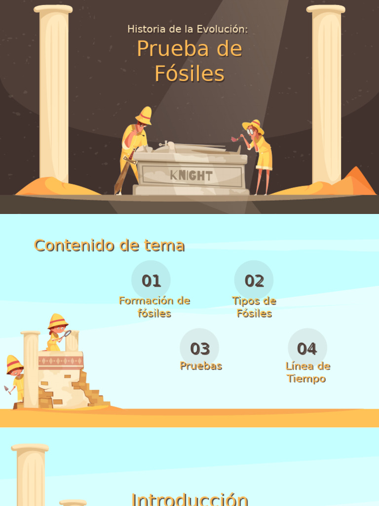 Evidencia Fósil de la Evolución | PDF | Fósil | Evolución