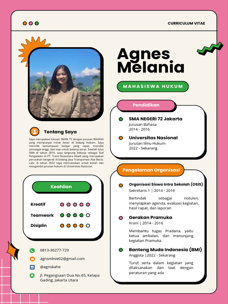 CV Agnes Melania | PDF