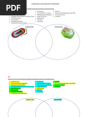 Prokaryotes Vs Eukaryotes Worksheet Prokaryotic And Eukaryotic Cells