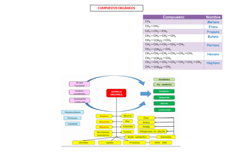 Esquemas de Los Compuestos | PDF