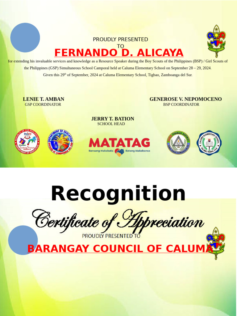 Certificate of Recognition BSP | PDF