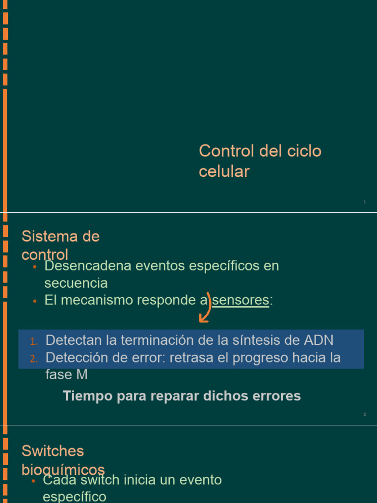 Control del Ciclo Celular y Checkpoints | PDF | Ciclo celular | Mitosis