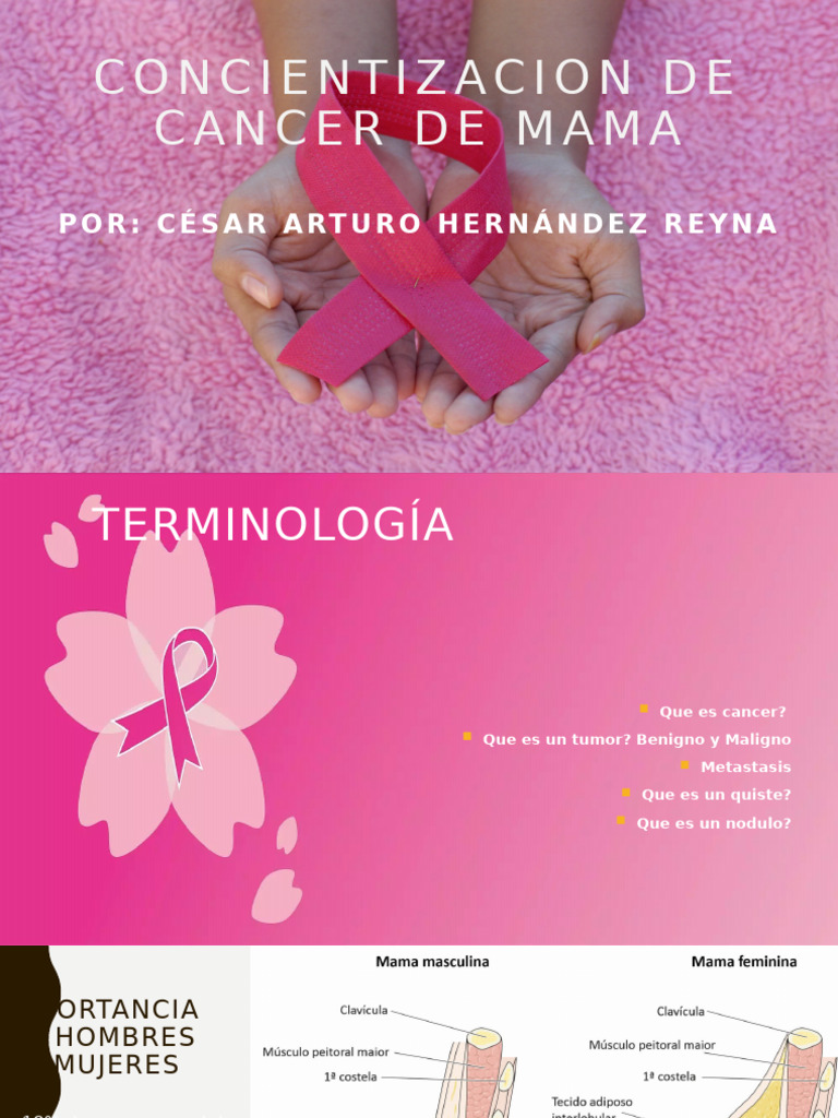Ca de Mama | PDF