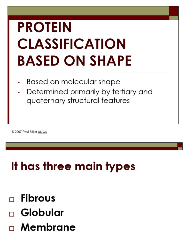 Protein Classification by Shape and Function | PDF | Proteins ...