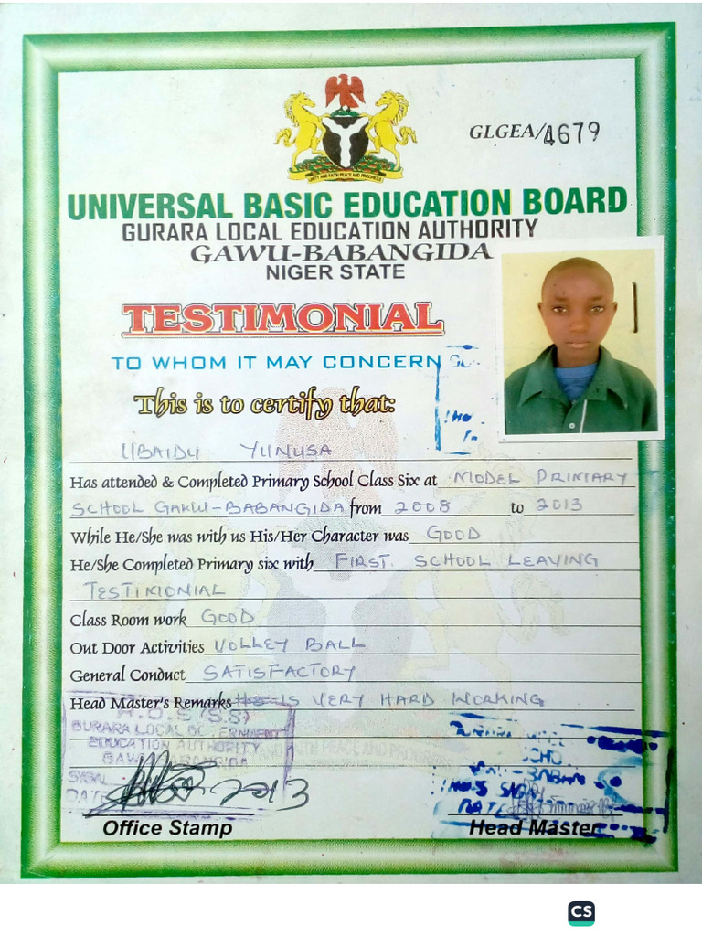 Primary School Testimonial | PDF