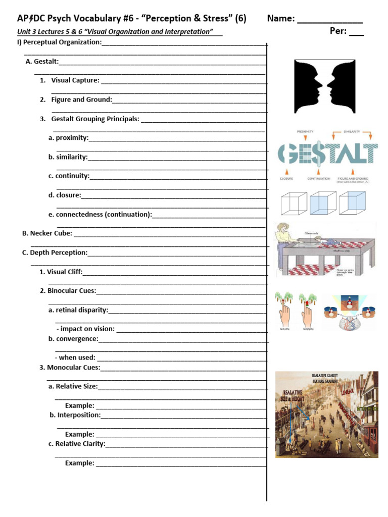 AP DC+Psych+PDF+Vocab+6+Perception+and+Stress | PDF | Stress (Biology ...