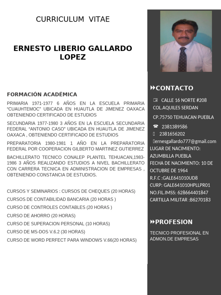 Curriculum Ernesto Gallardo | PDF | Business