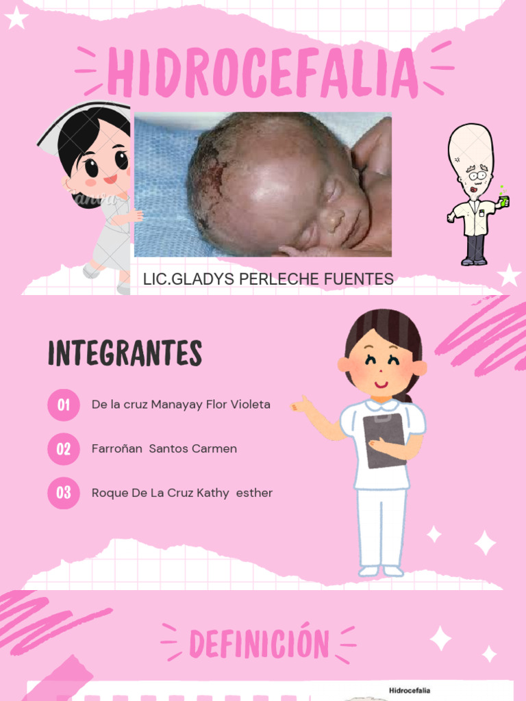 Presentación Propuesta de Proyecto Simple Rosa - 20241024 - 003133 - 0000 | PDF | Ct Scan ...