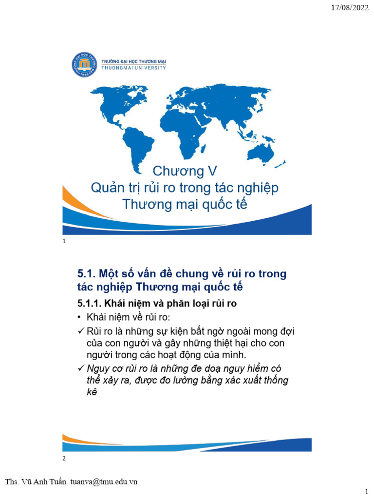 CV - Rui Ro Trong TMQT | PDF