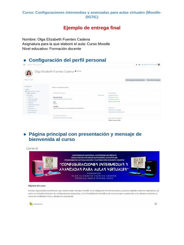 Ejemplo de entrega final | PDF