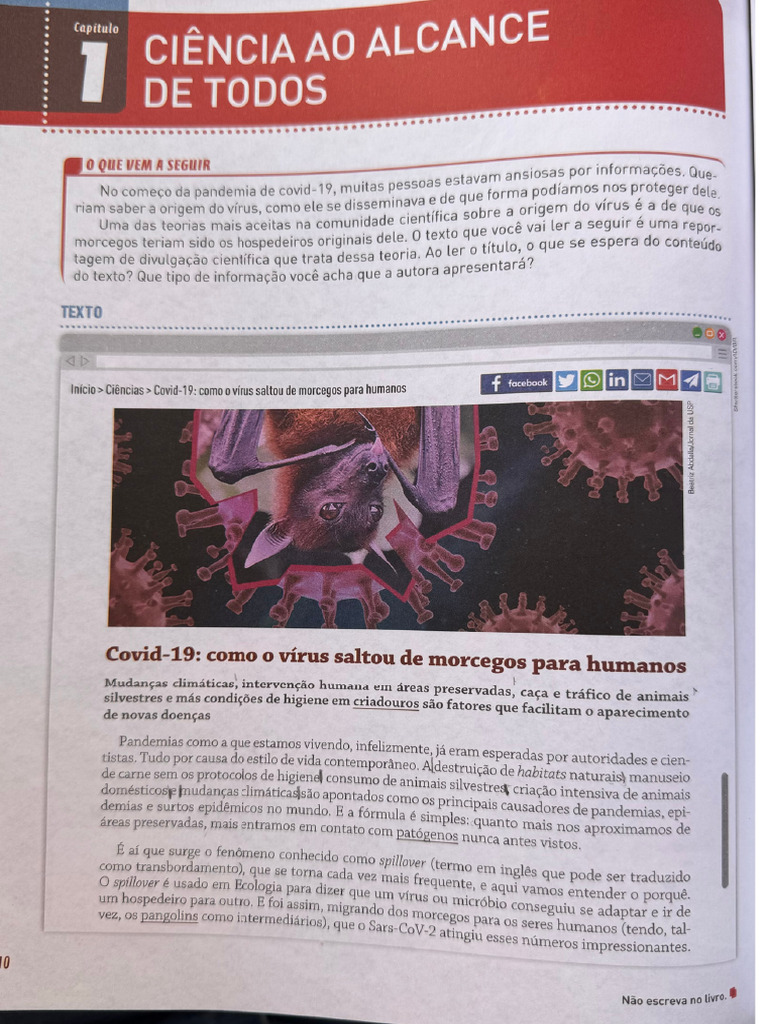 Interpretação Reportagem e Inforgráfico | PDF