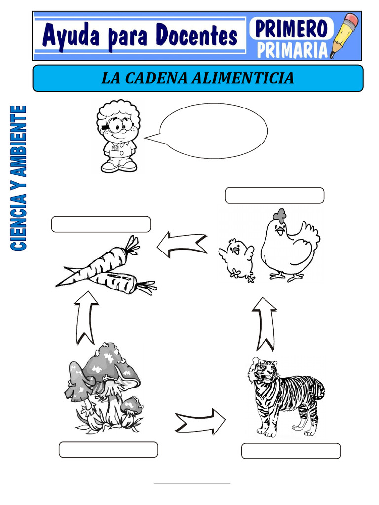 Maquetas de la Cadena Alimenticia para 1er Grado | PDF | Salud y ...