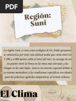 Resumen de La Región Suni | PDF