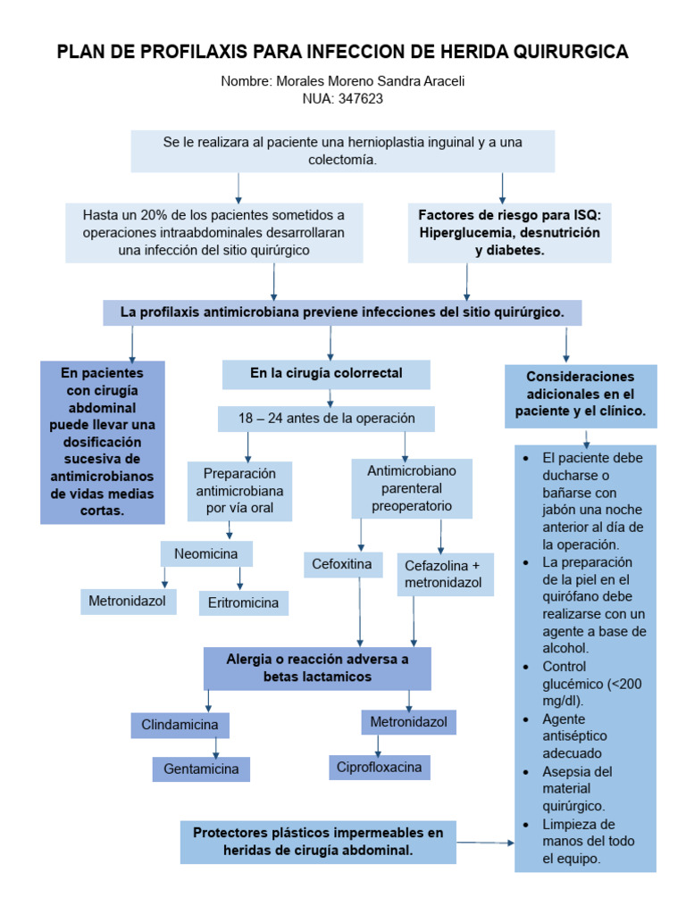 Plan de Profilaxis para Infeccion de Herida Quirurgica | PDF | Medicina | Enfermedades y trastornos