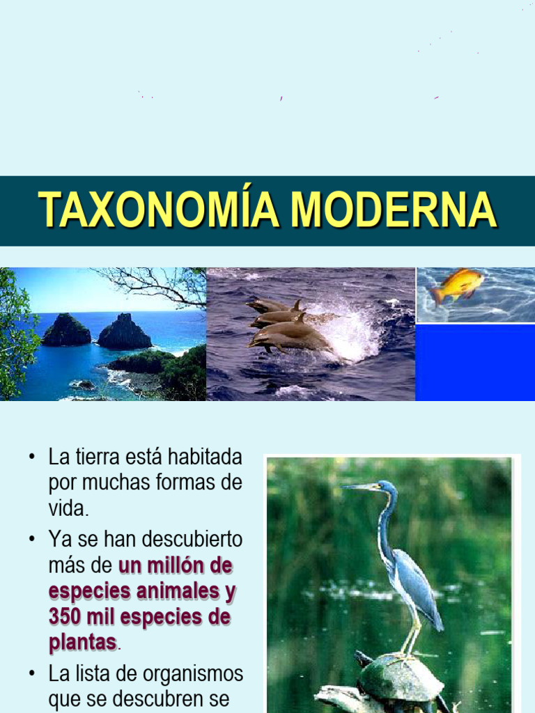 Habitat Termoacidofilos Arqueas | PDF | Archaea | Biología Celular)