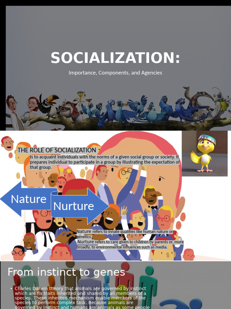 Socialization Group | PDF | Socialization | Nature Versus Nurture