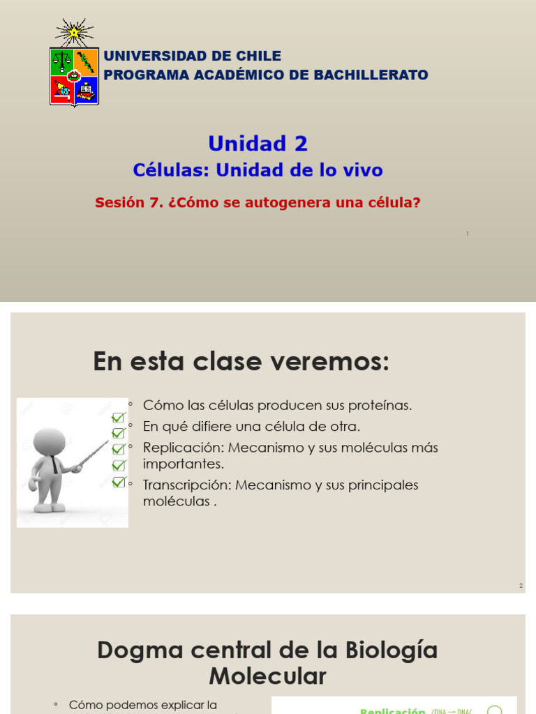 Unidad_2._Sesi_n_7 | PDF | Replicación De Adn | Adn