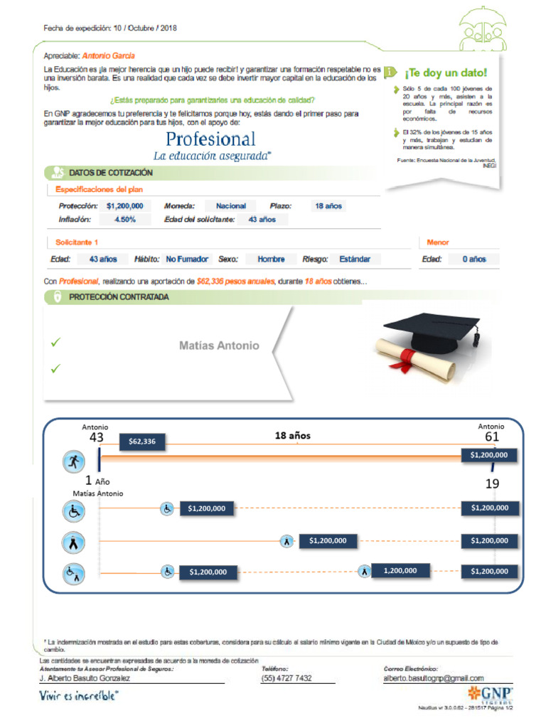 ejemplo Profesional | PDF