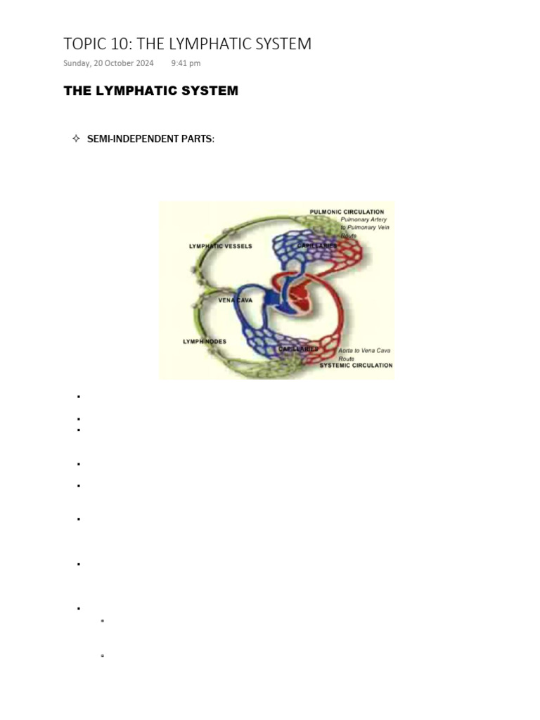 Understanding the Lymphatic System | PDF | Lymphatic System | Blood Vessel