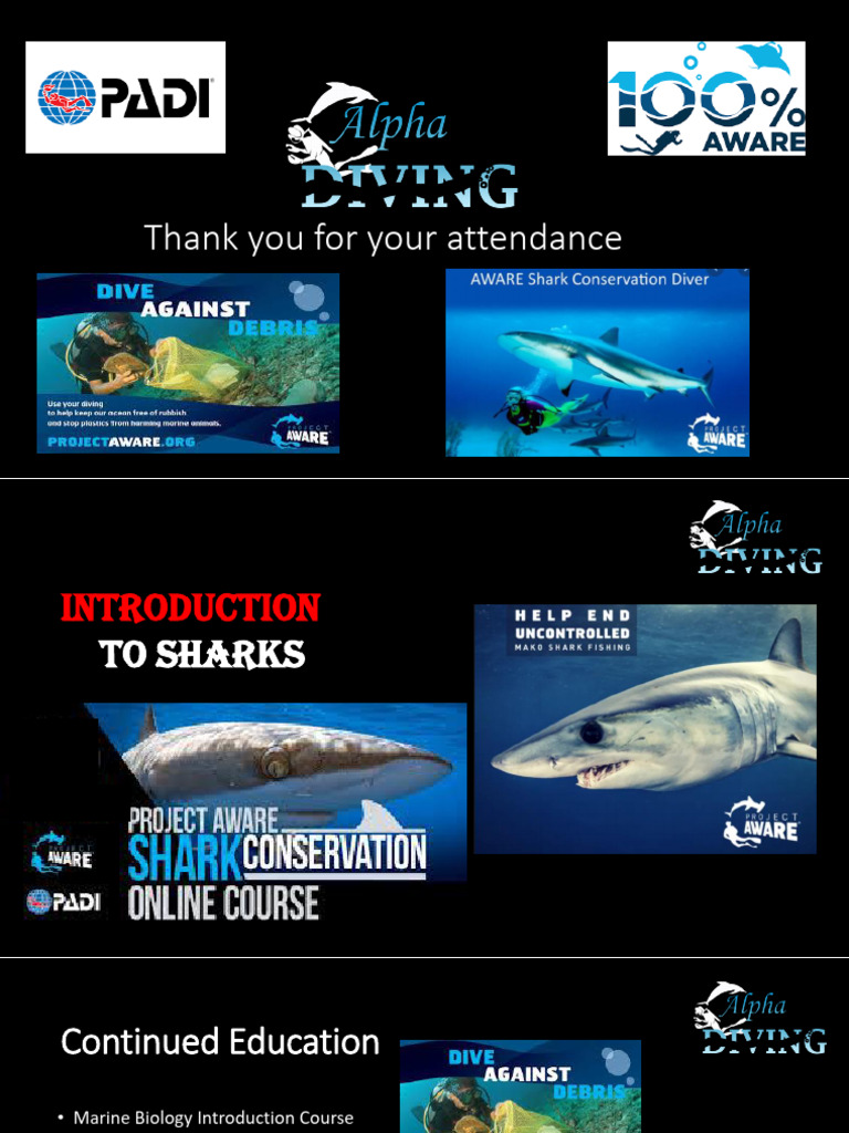 Shark Conservation and Education Guide | PDF | Sharks | Endangered Species