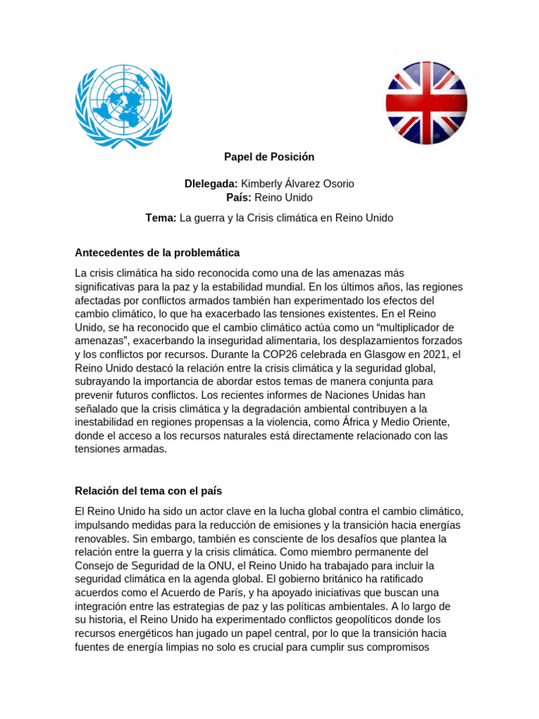 Papel de Posición | PDF | Naciones Unidas | Relaciones internacionales