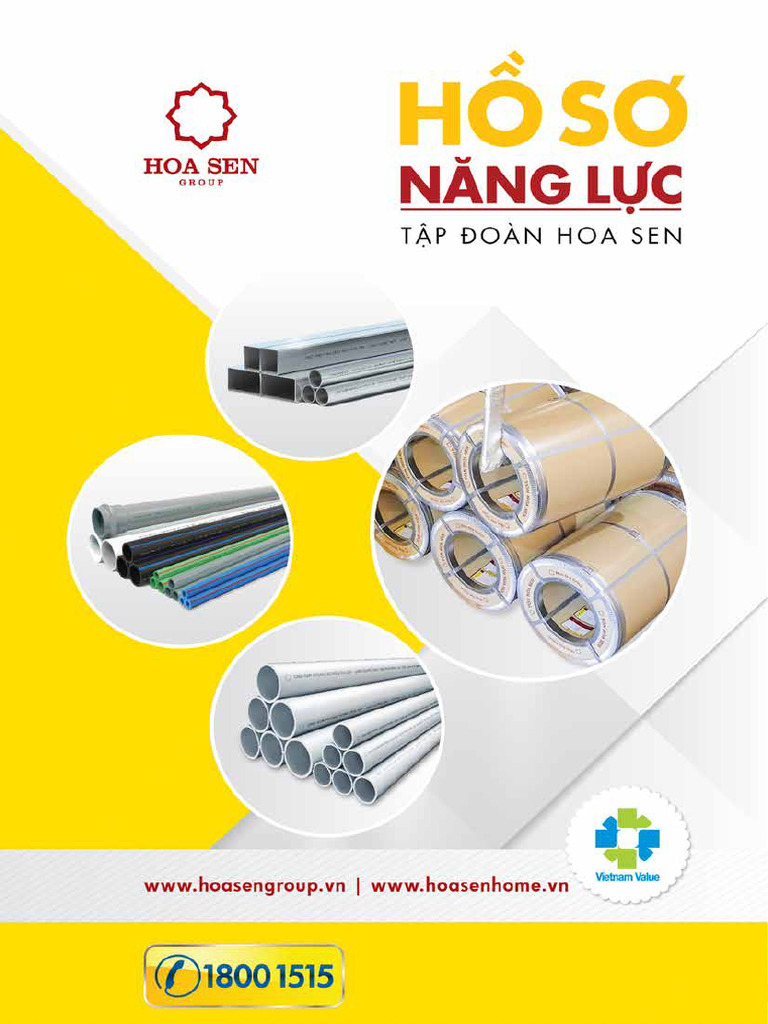 Ho So Nang Luc Tap Doan Hoa Sen | PDF