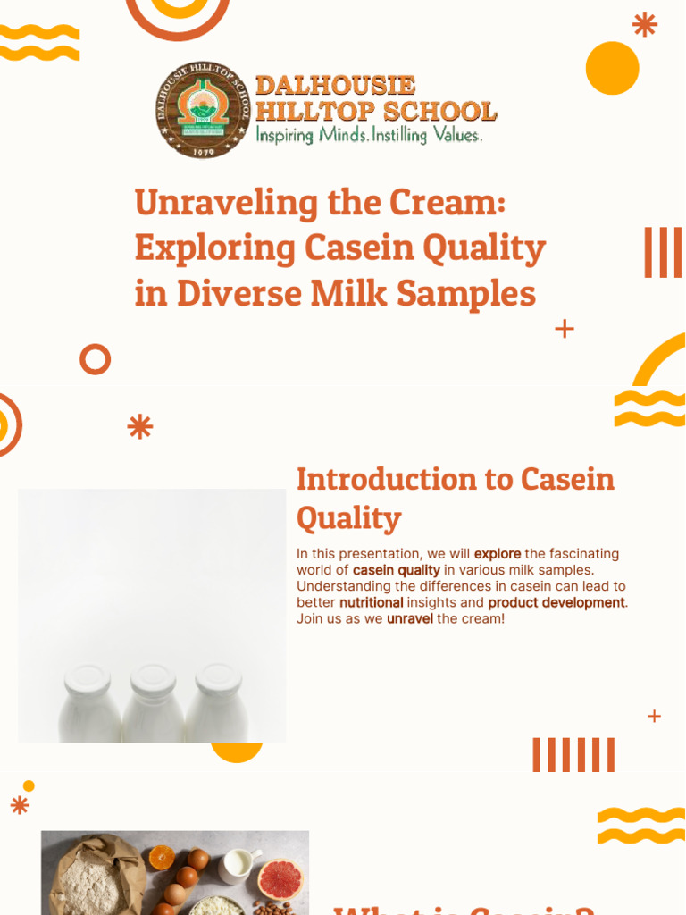 CHEMISTRY PROJECT | PDF | Milk | Dairy