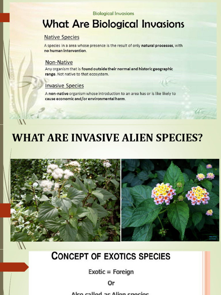 What Are Invasive Alien Species | PDF | Invasive Species | Biodiversity