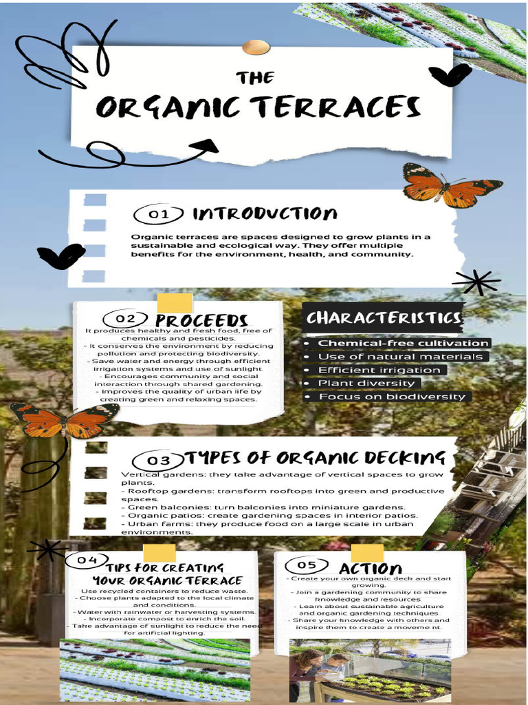 Nuevo Documento | PDF