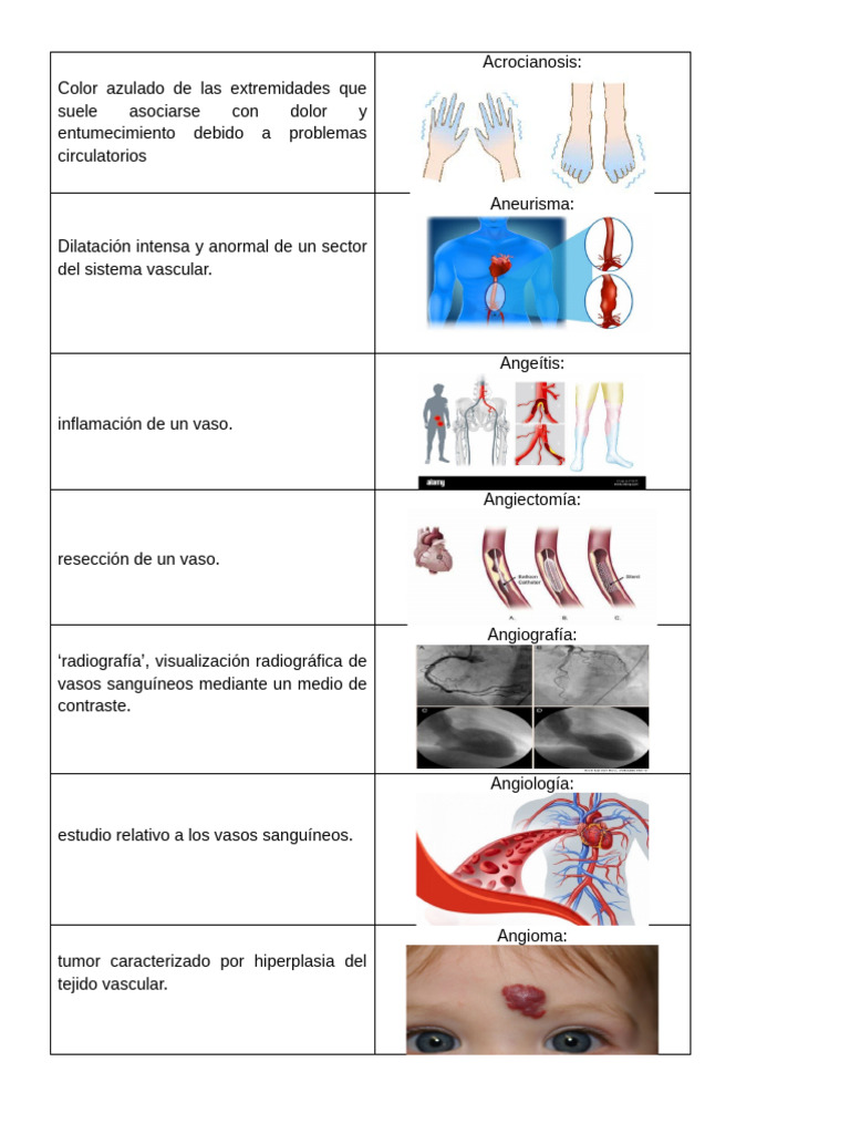 Tono Vascular y Problemas Circulatorios | PDF | Corazón | Sistema ...