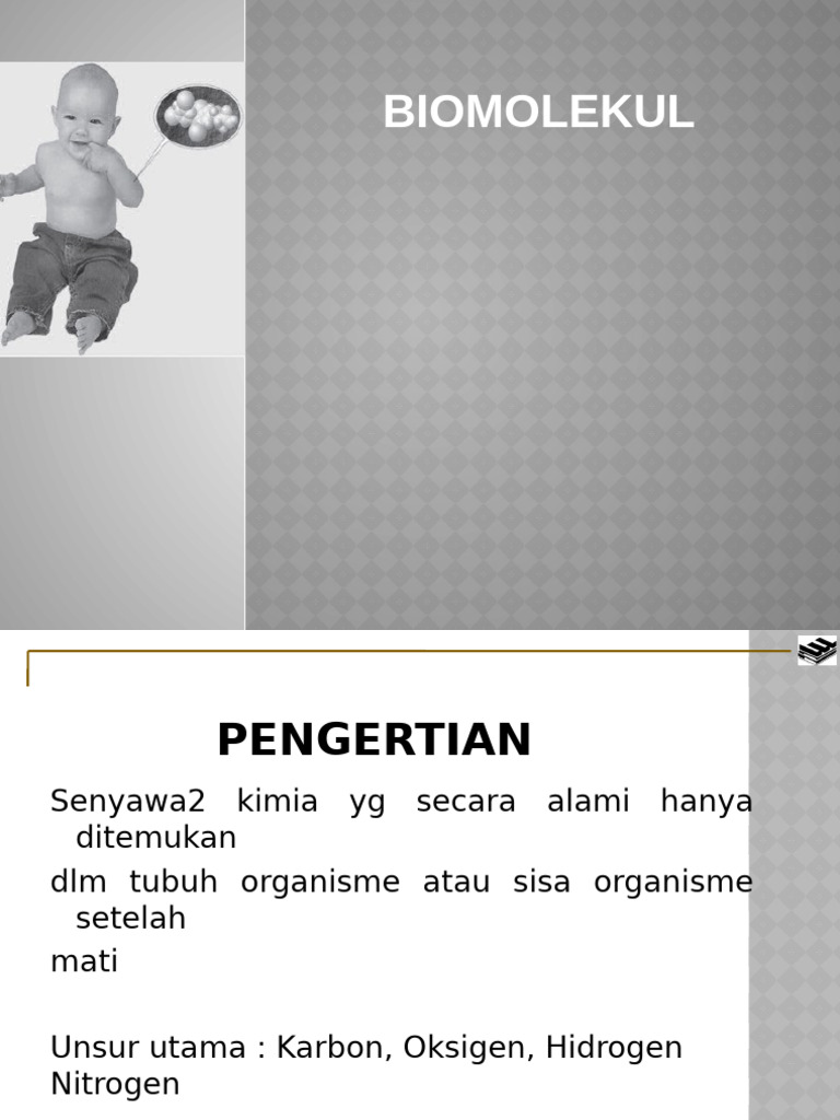 Bab 7 Biomolekul | PDF