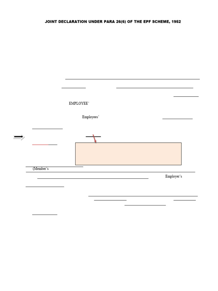 Sample+Joint Declaration For VPF+2024 | PDF
