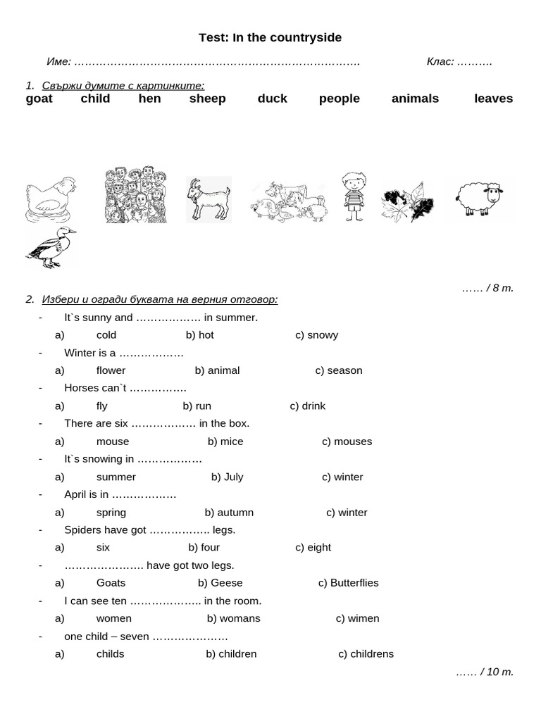 Test in The Countryside | PDF