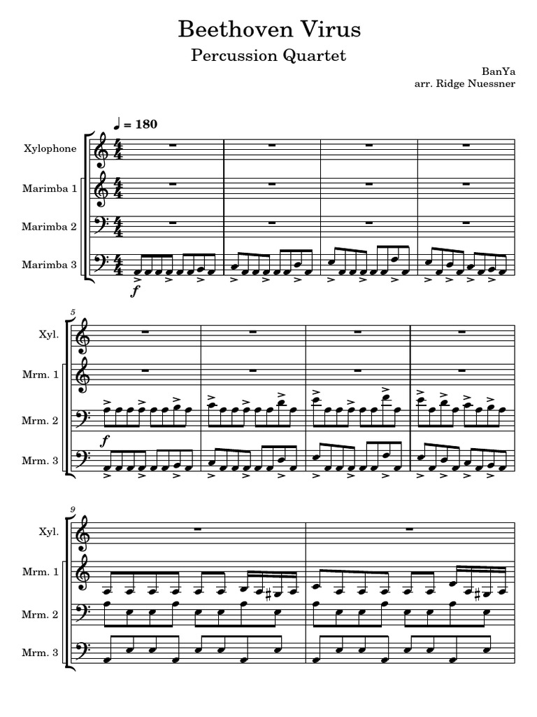 Beethoven Virus BanYa | PDF | Musical Instruments | Percussion Instruments