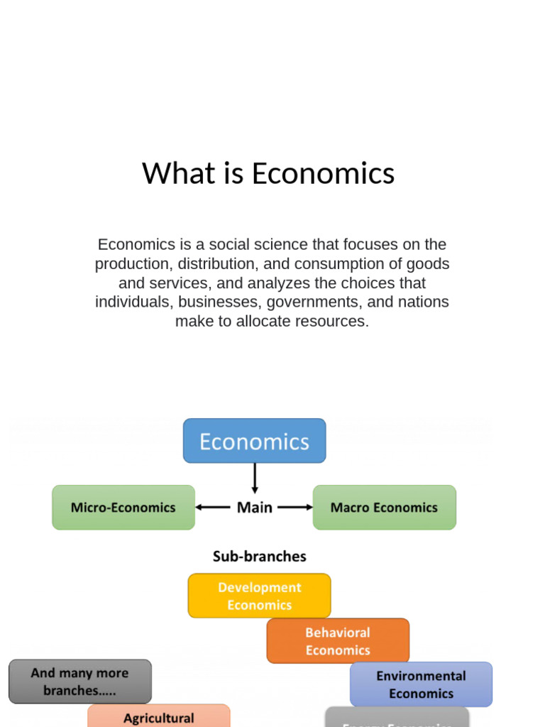 Economic Agents | PDF | Consumption (Economics) | Labour Economics