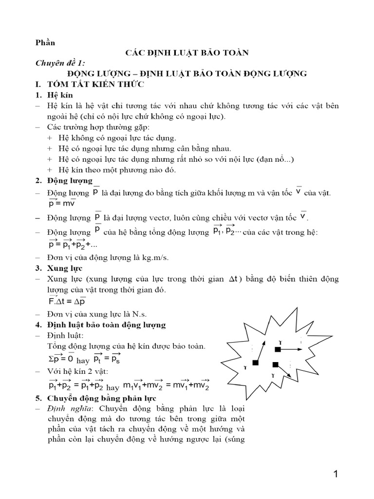 Chuyen de 1. Dong Luong - DL Bao Toan Dong Luong. | PDF