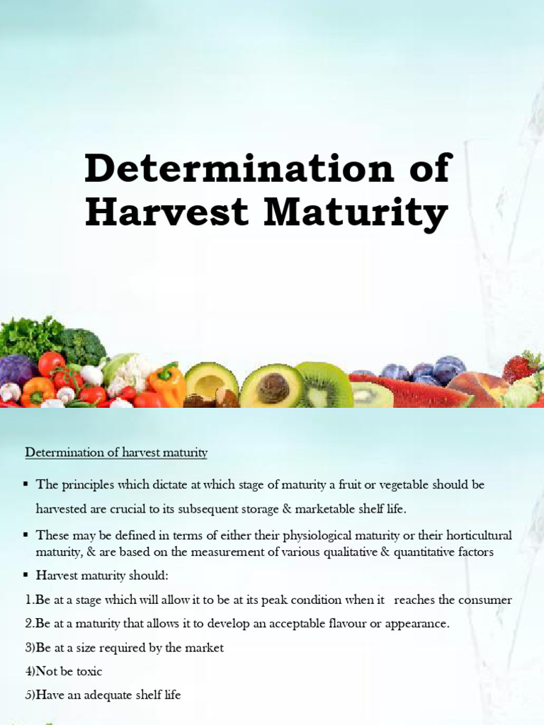 Harvest Maturity Determination Methods | PDF | Fruit | Vegetables