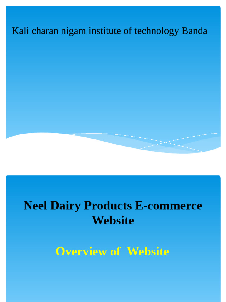 Neel Dairy Ecomm Presentation | PDF